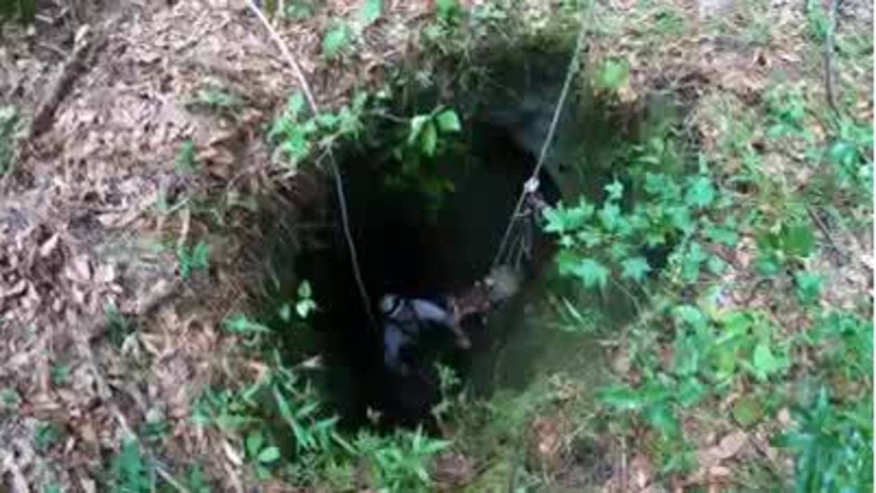 VIDEO: Dog trapped in Florida cave for three weeks, saved by hiker ...