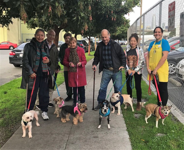 ‘Cuddle Club’ unites senior people and senior dogs at Muttville rescue ... ‘Cuddle Club’ unites senior people and senior dogs at Muttville rescue ...