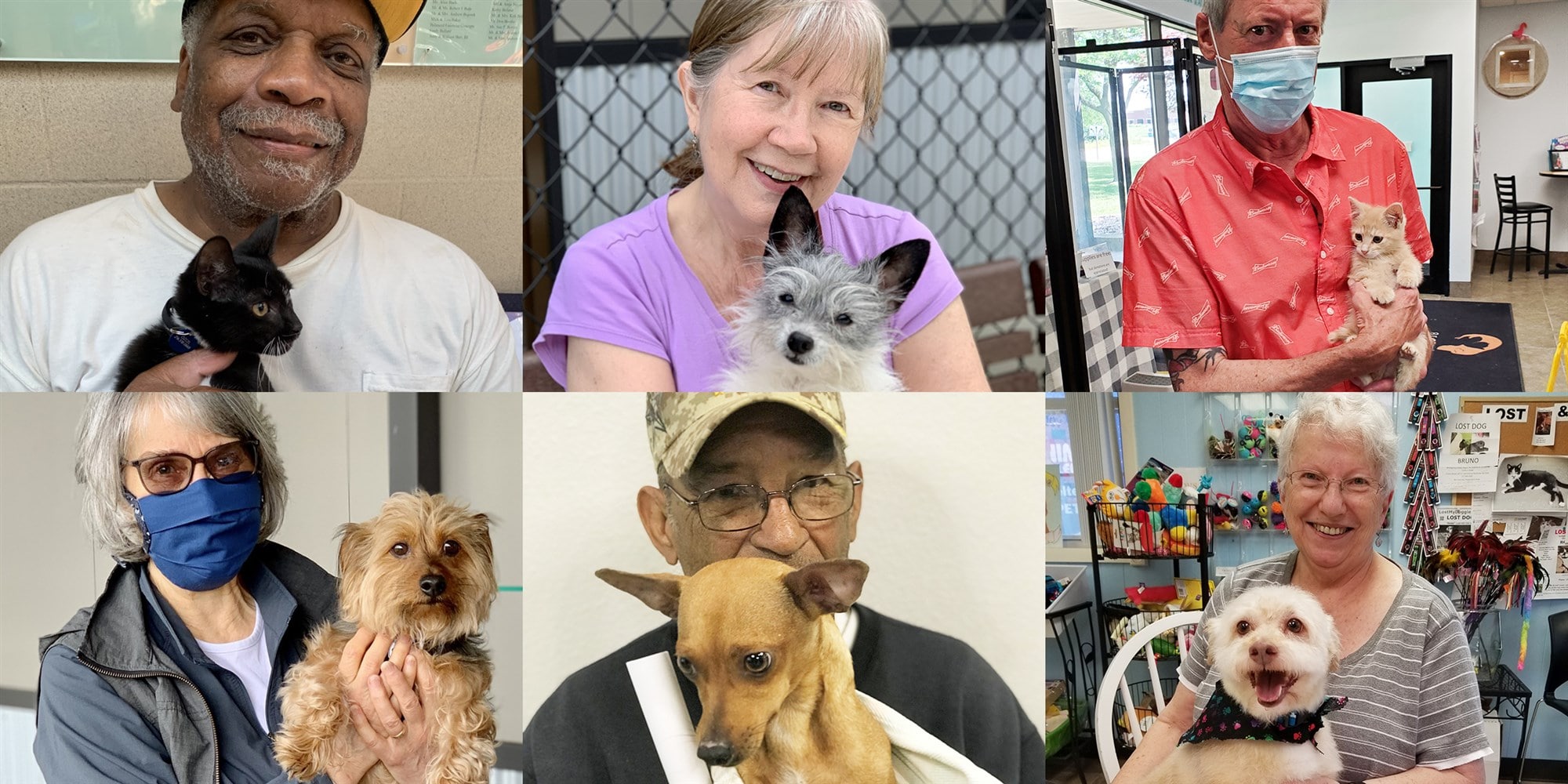 Pets for the Elderly ramps up efforts to help seniors adopt and keep ...