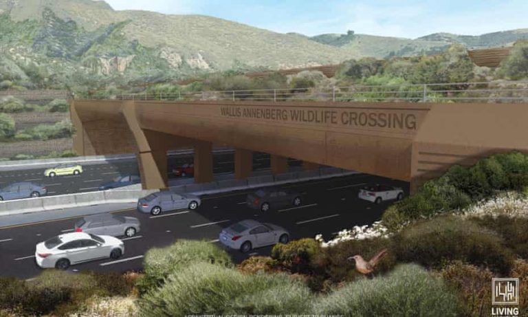 Animal crossing: world’s biggest wildlife bridge comes to California ...