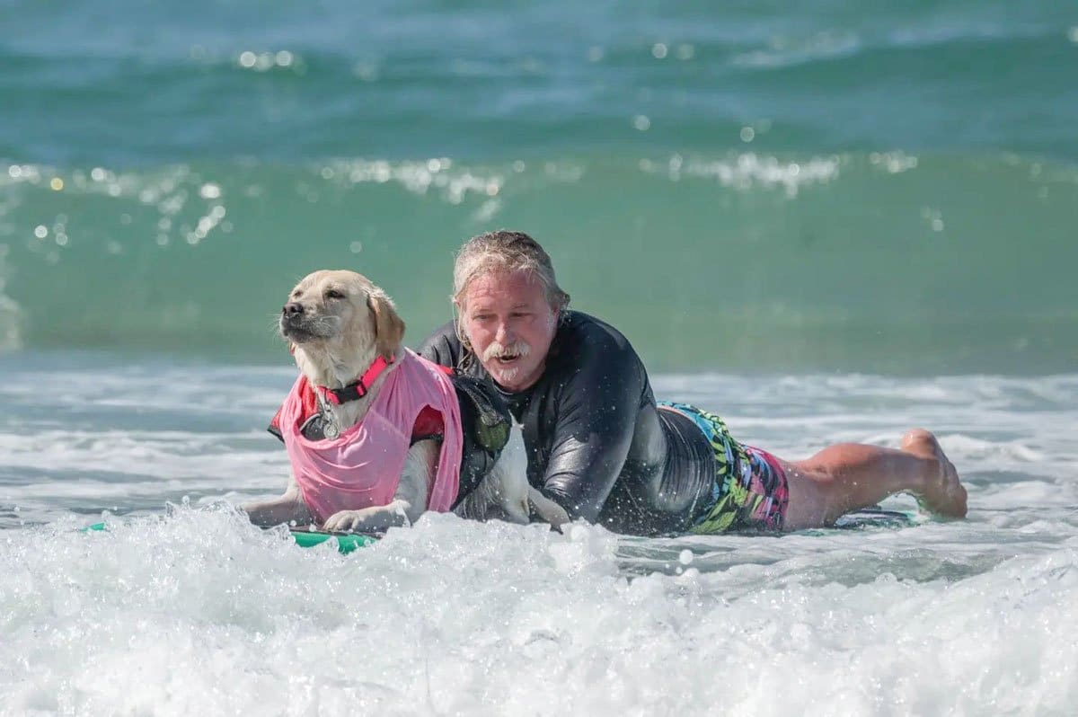 Dogs take the waves at Del Mar's Surf Dog Surf-A-Thon - Not All News is ...